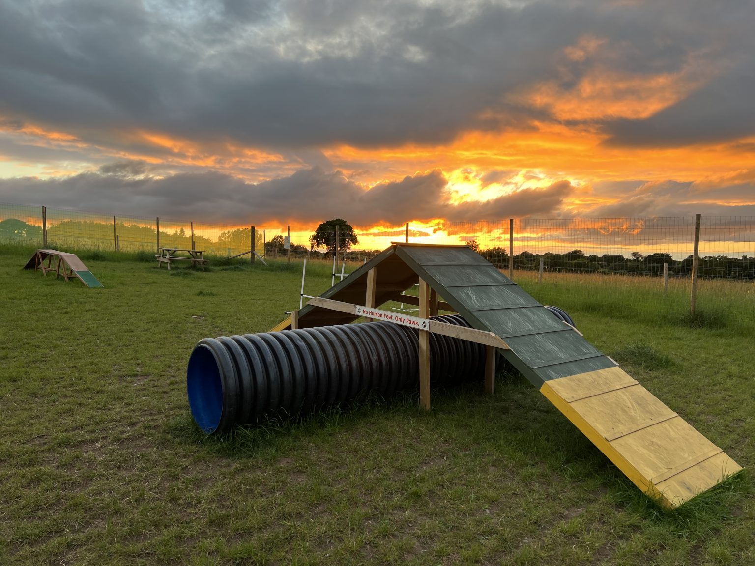 My Dog Field – Cuddington – My Dog Field